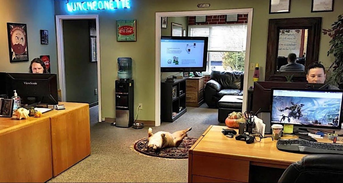 About the Firm | Seattle Software Developers